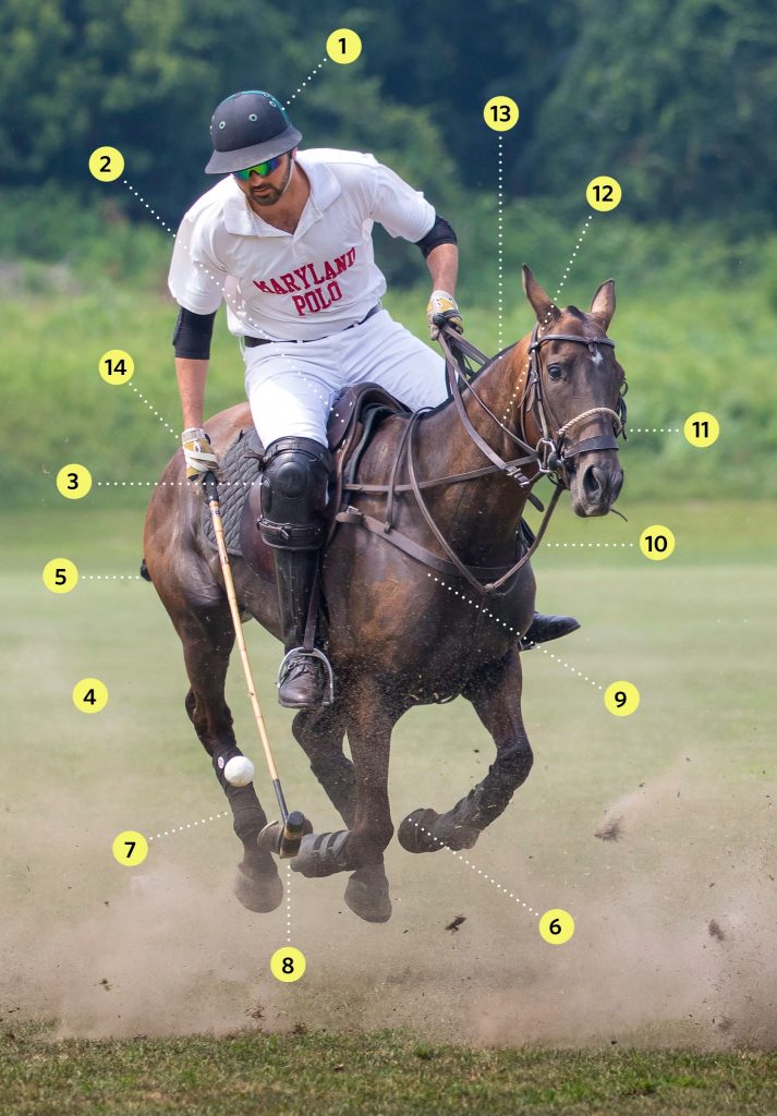 About the Game - Maryland Polo Club