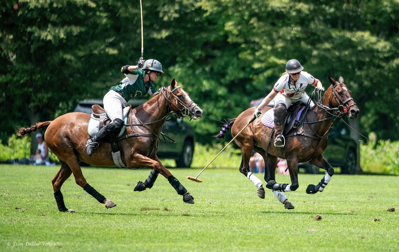 Home - Maryland Polo Club