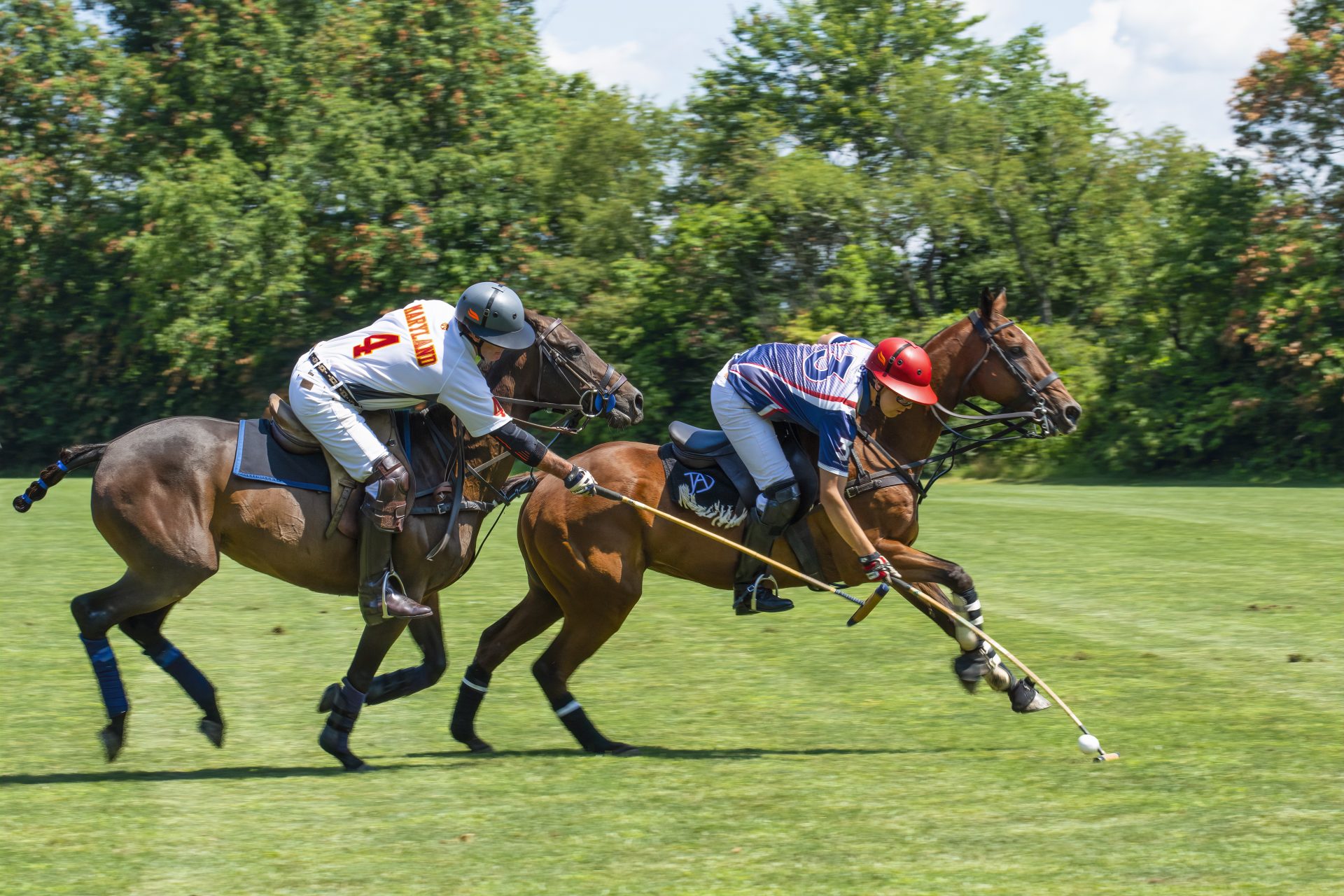 Home - Maryland Polo Club