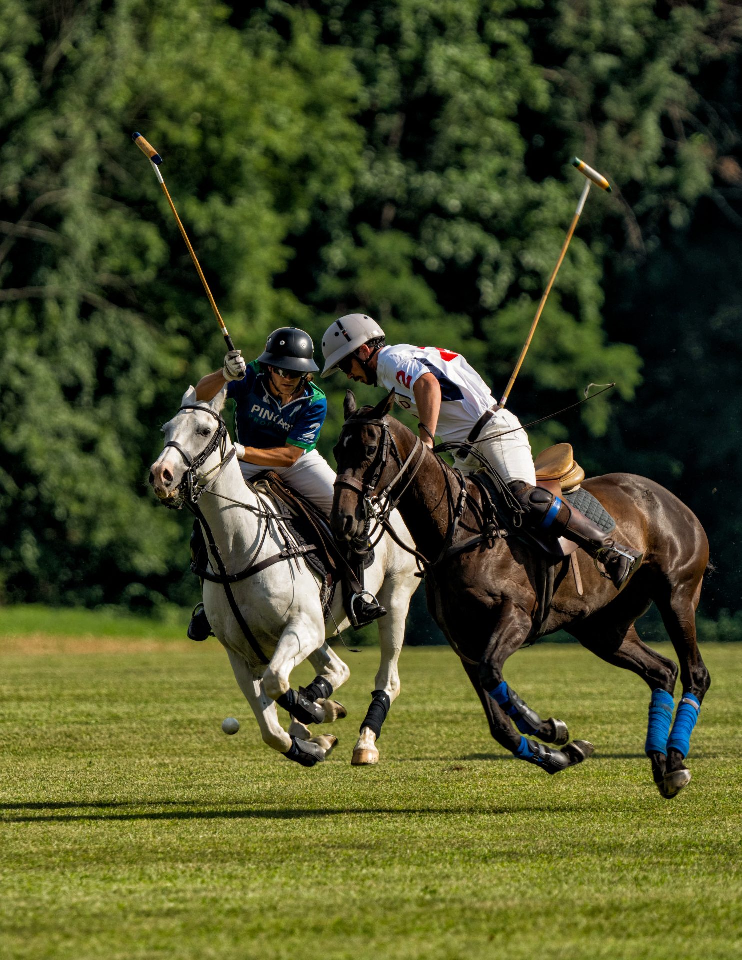 About the Club - Maryland Polo Club