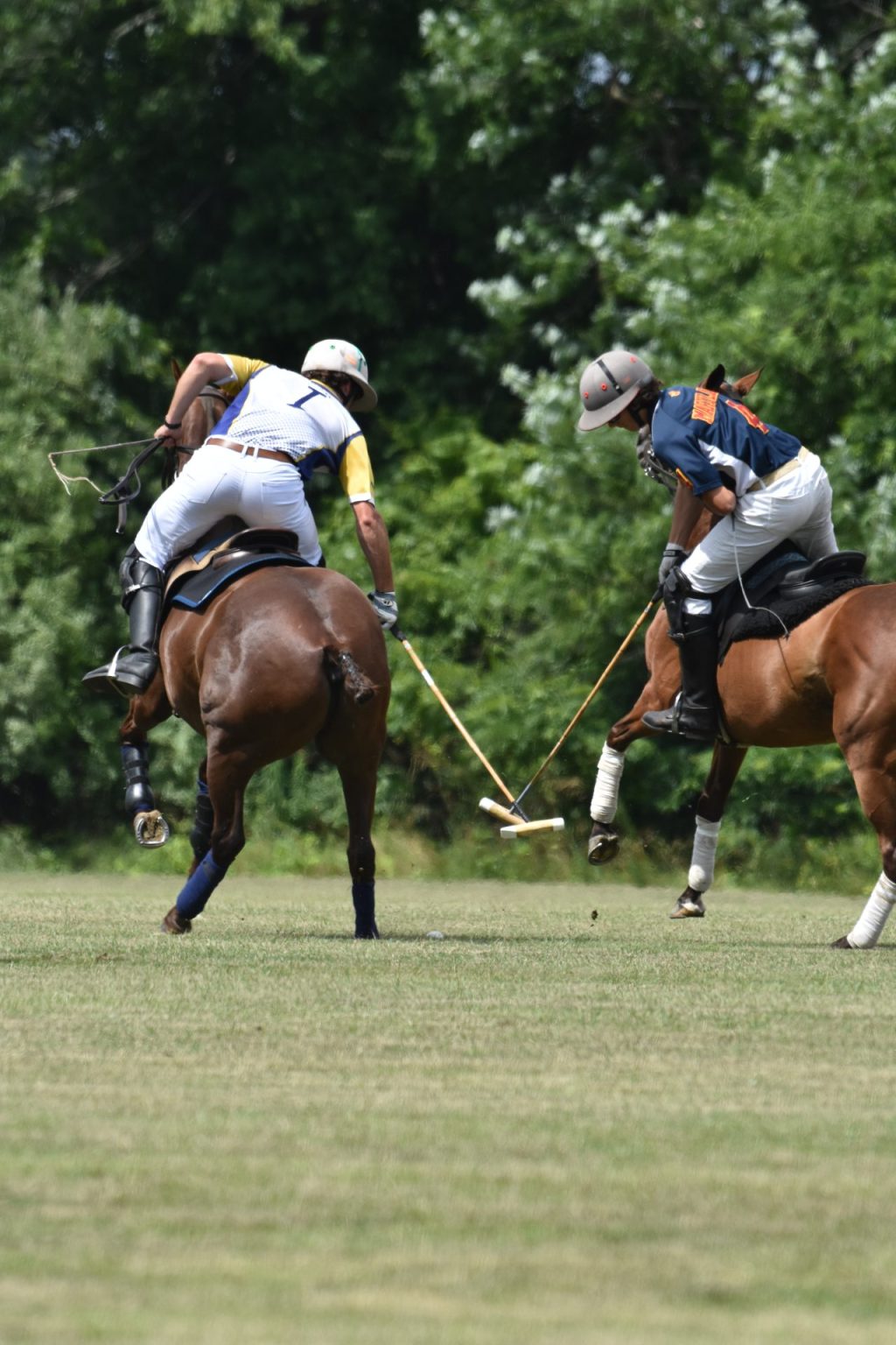 10 Goal Exhibition - Maryland Polo Club