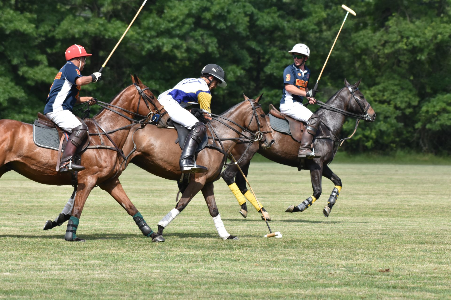 10 Goal Exhibition - Maryland Polo Club