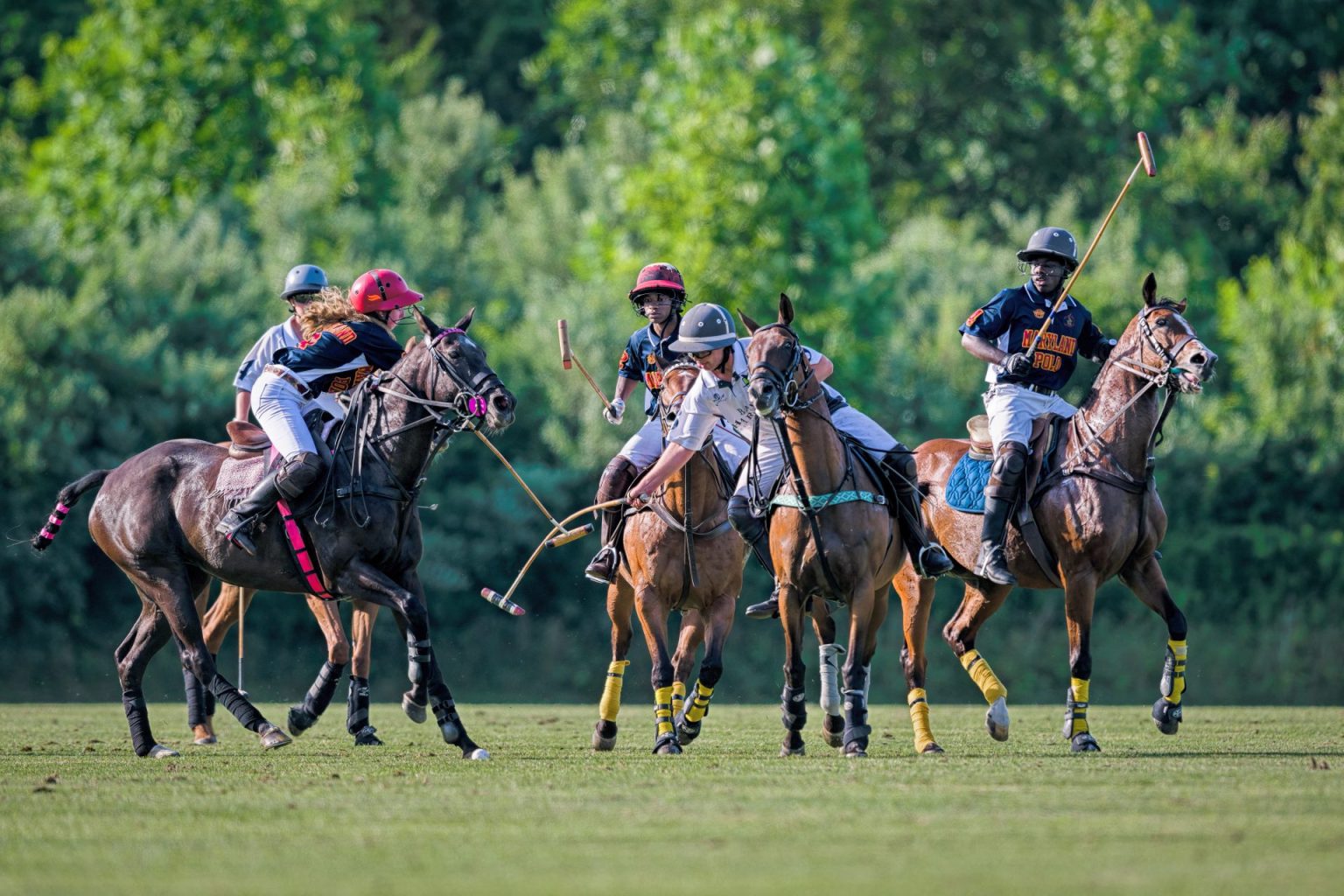 Home - Maryland Polo Club